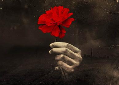 MITAC Events | MITAC